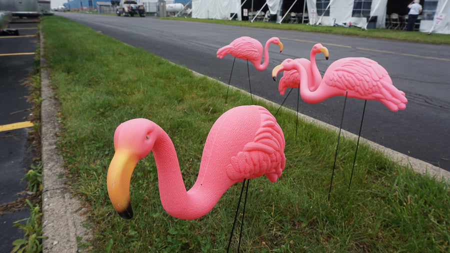 The Iconic Pink Flamingo – Airstream Supply Company