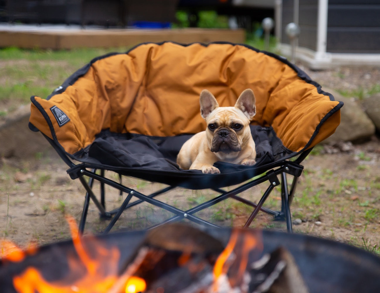 Lazy Bear Dog Bed by KUMA – Airstream Supply Company